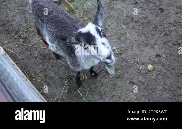 Earth looks Stock Videos & Footage - HD and 4K Video Clips - Alamy