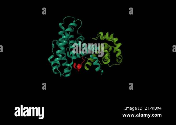 Crystal structure of the retinoblastoma tumour suppressor protein ...