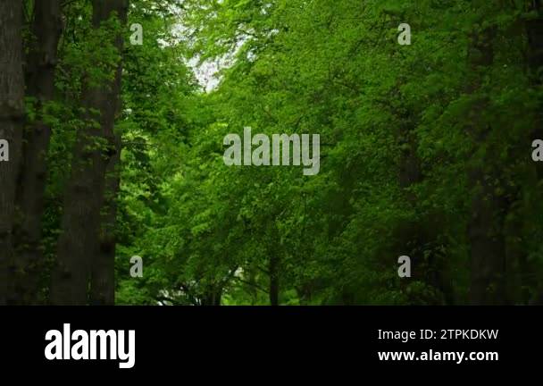 Daylit Stock Videos & Footage - HD and 4K Video Clips - Alamy