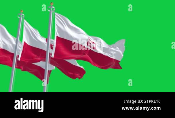 Argentina national flag waving on green screen. Threel blue and white ...