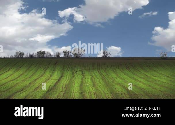Eden field Stock Videos & Footage - HD and 4K Video Clips - Alamy