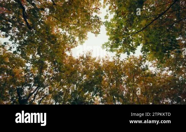 Dizziness and concept Stock Videos & Footage - HD and 4K Video Clips ...