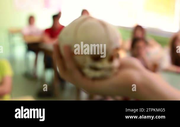 Biology In Elementary Schools. Student at anatomy class holding human ...