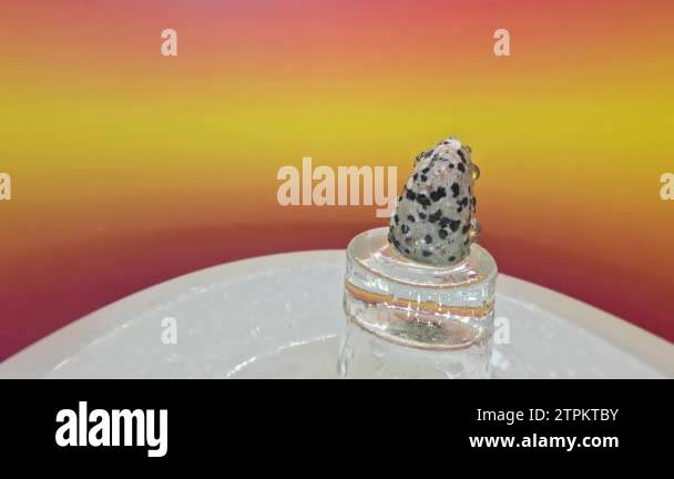 Leopard jasper stones are natural stone with black spots on a beige ...