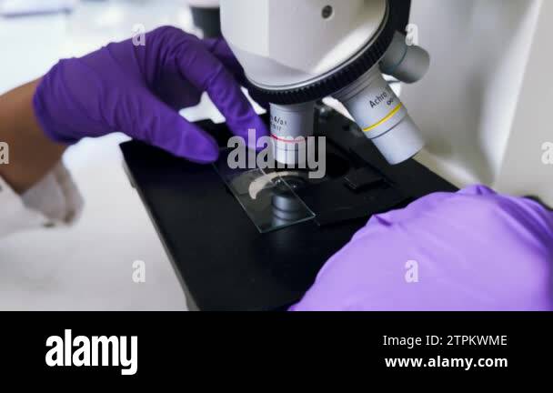 Female research scientist looking at samples under microscope. 4K ...