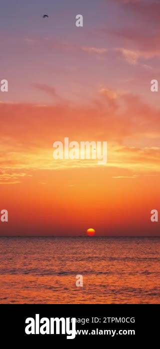 Rising sun over sea horizon and flying seagulls and sailing boats ...