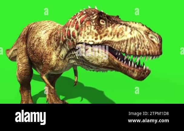 Roar face Stock Videos & Footage - HD and 4K Video Clips - Alamy