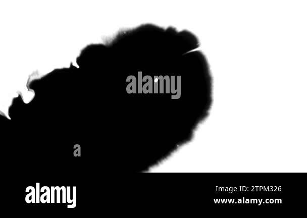 Beautiful white watercolor ink drops transition on black background, paint bleed Bloom, with ...