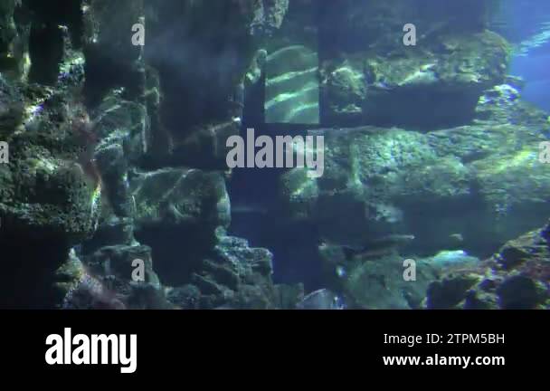Underwater concrete Stock Videos & Footage - HD and 4K Video Clips - Alamy