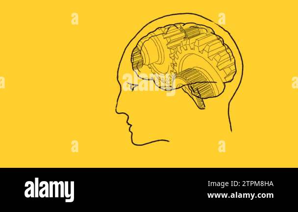 Visual cognition Stock Videos & Footage - HD and 4K Video Clips - Alamy