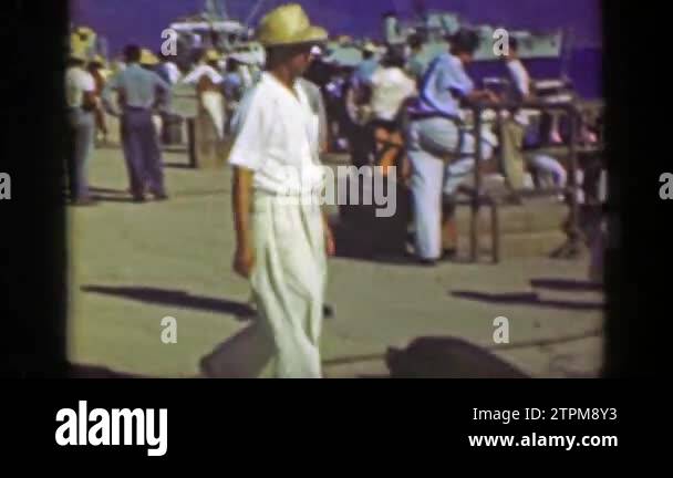 Flipper movie Stock Videos & Footage - HD and 4K Video Clips - Alamy