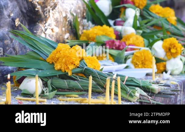 Lotus flower base Stock Videos & Footage - HD and 4K Video Clips - Alamy