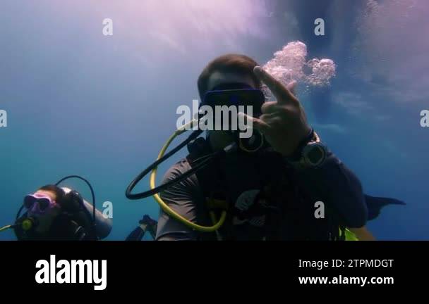 Girl diving with fish Stock Videos & Footage - HD and 4K Video Clips ...