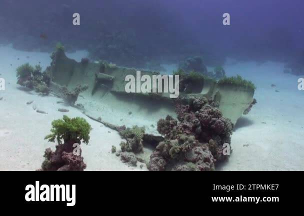 Shipwreck on seabed underwater Red sea Stock Video Footage - Alamy
