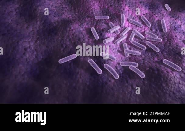 Microscopic 3d animation of bacteria on a surface with camera randomly ...