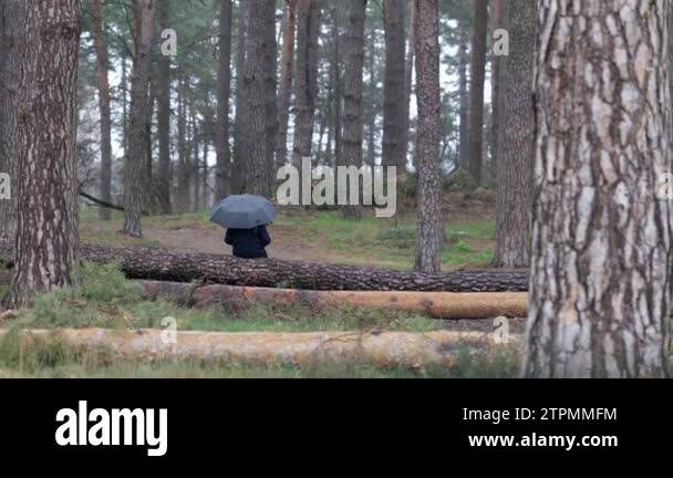 A man sits under an umbrella on a broken tree after a bombing. The war ...