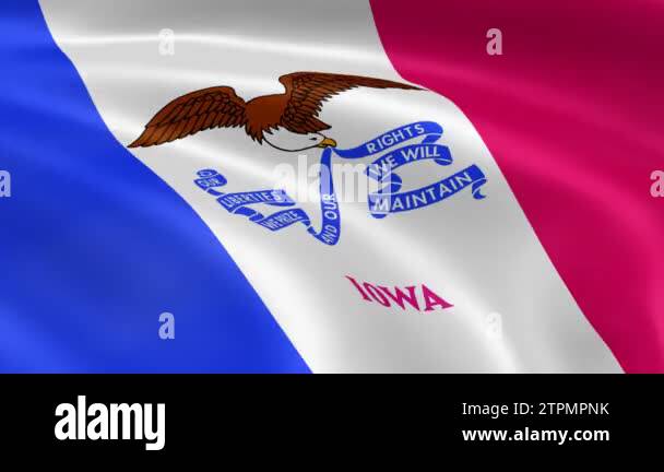 Waterloo eagle Stock Videos & Footage - HD and 4K Video Clips - Alamy
