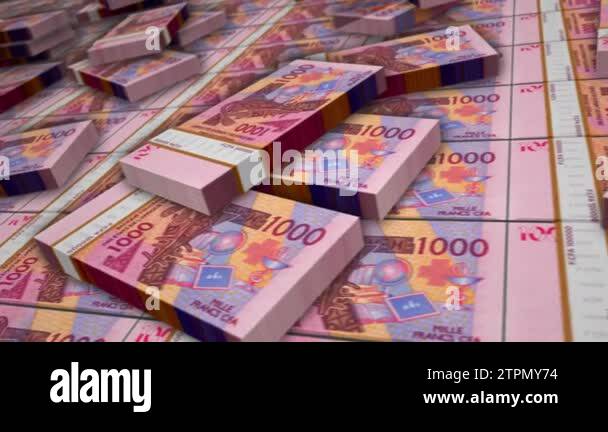 West African money West Africani CFA Franc banknote bundle loop. 1000 XOF money stacks. Concept ...