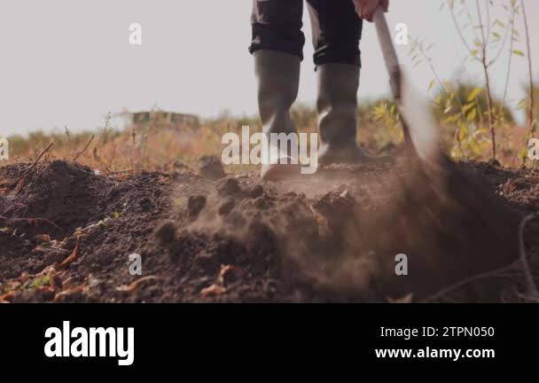 Grit and Determination A Farmer Hard Work Evident in the Close Up View ...