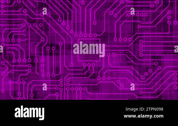 Animated Pink Computer chip with connections and signals. AI Computer processor background ...