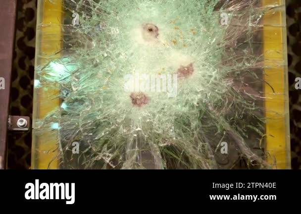 Bulletproof glass Stock Videos & Footage - HD and 4K Video Clips - Alamy