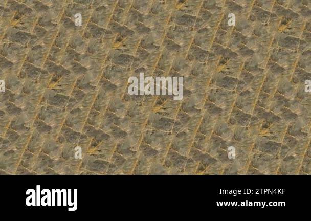 Granite stone layers Stock Videos & Footage - HD and 4K Video Clips - Alamy