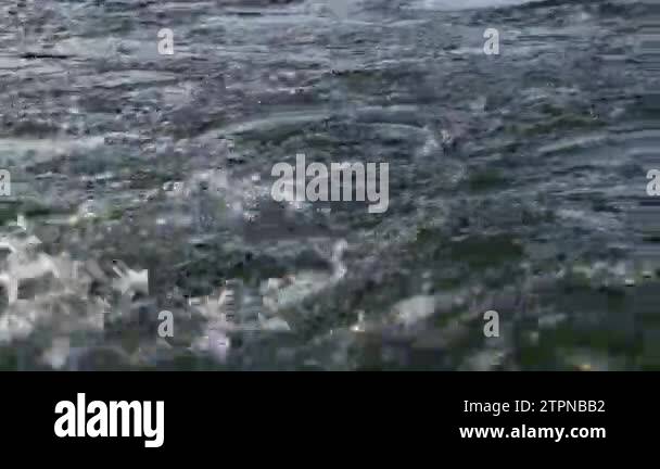 Action water splash horizontal Stock Videos & Footage - HD and 4K Video ...