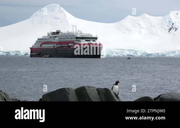 Antarctic penguins in their environment Stock Videos & Footage - HD and ...