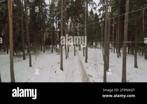 Bridge on trees Stock Videos & Footage - HD and 4K Video Clips - Alamy