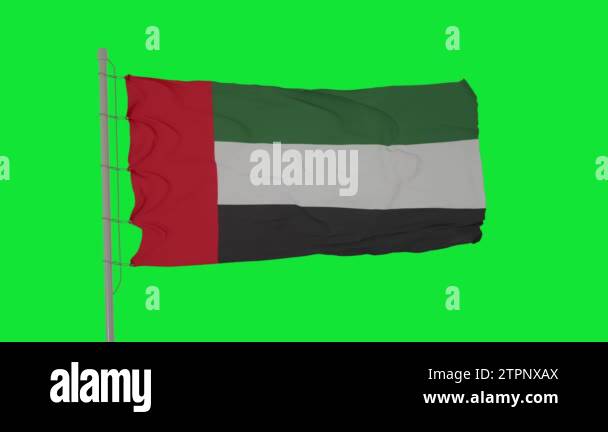 United Arab Emirates or UAE flag is waving on green screen. National ...