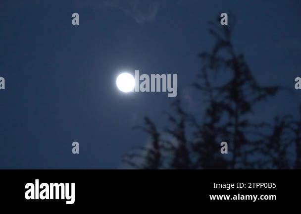 Moon zero two Stock Videos & Footage - HD and 4K Video Clips - Alamy