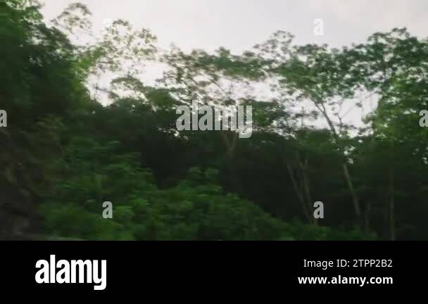 Car side window view of green forest, rocky hills with sun flares ...