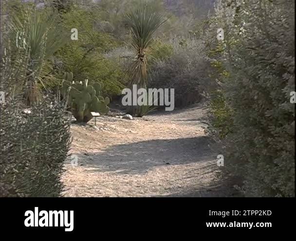 Empty desert Stock Videos & Footage - HD and 4K Video Clips - Alamy