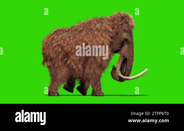 Mammoth ice fossil Stock Videos & Footage - HD and 4K Video Clips - Alamy