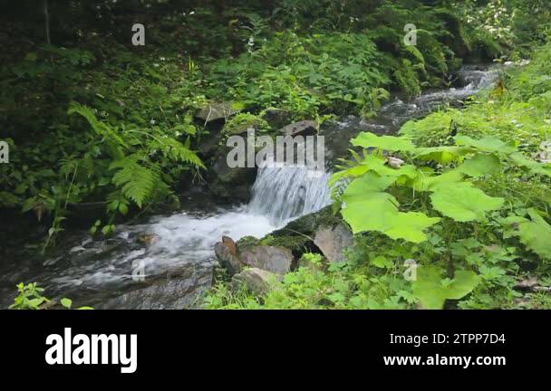 Mountain streamlet Stock Videos & Footage - HD and 4K Video Clips - Alamy