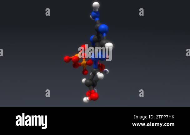 Adenosine triphosphate atp energy transport Stock Videos & Footage - HD and 4K Video Clips - Alamy