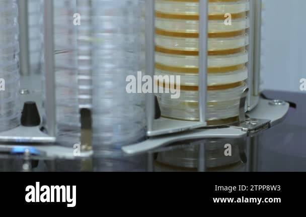Sterility testing Stock Videos & Footage - HD and 4K Video Clips - Alamy