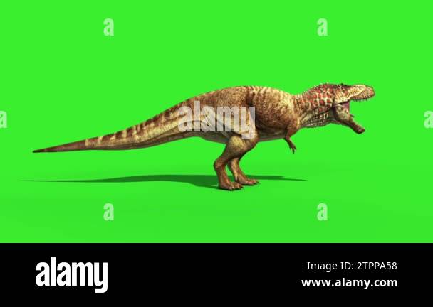 T rex roar Stock Videos & Footage - HD and 4K Video Clips - Alamy