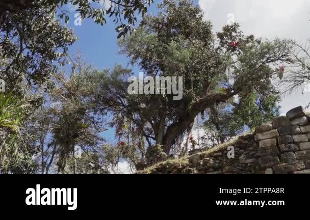 Kuelap, Peru - 06 01 2019: historical archeological site of the old ...