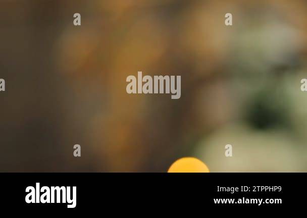 Cross microphone Stock Videos & Footage - HD and 4K Video Clips - Alamy