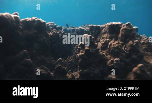 Tropical corals in transparent blue ocean Stock Video Footage - Alamy