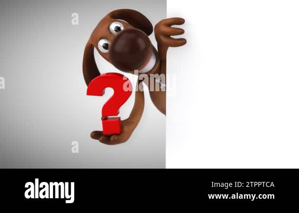 Dog question mark Stock Videos & Footage - HD and 4K Video Clips - Alamy