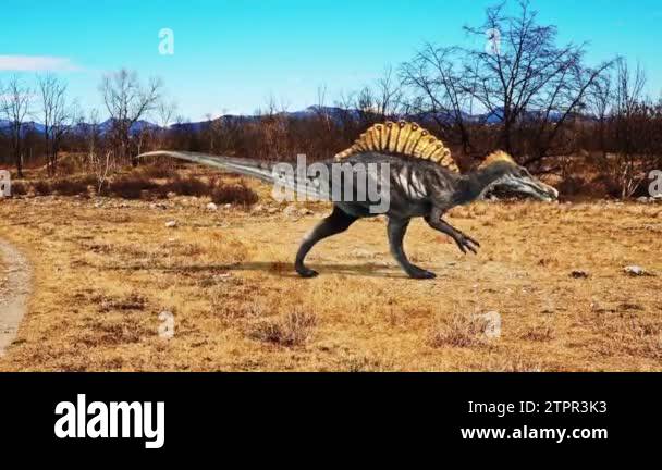 Spinosaurus Dinosaurs Jurassic Animated Background 3D Rendering ...