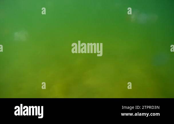 Diving barrel Stock Videos & Footage - HD and 4K Video Clips - Alamy