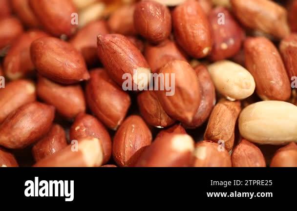 Groundnut harvest Stock Videos & Footage - HD and 4K Video Clips - Alamy