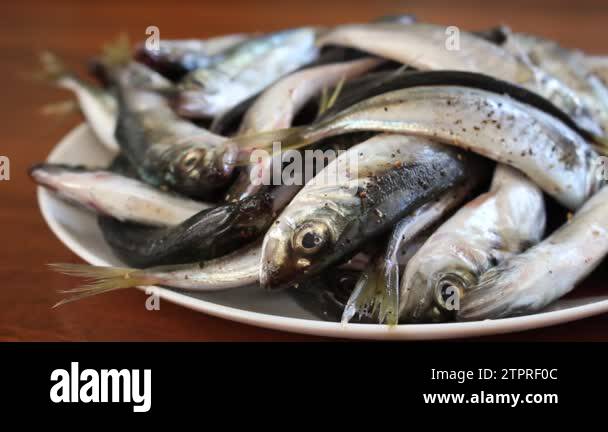 Mackerel fresh fish plate Stock Videos & Footage - HD and 4K Video ...