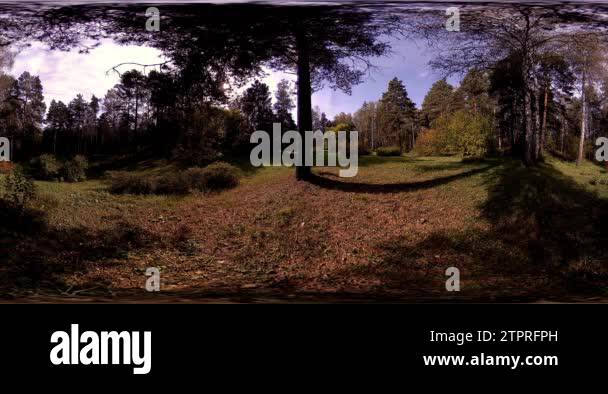 UHD 4K 360 VR Virtual Reality of a city park recreation area. Trees and ...