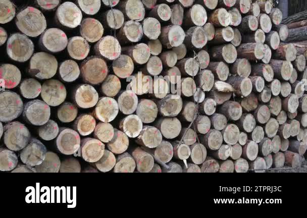 Many logs wood stacked Stock Videos & Footage - HD and 4K Video Clips ...