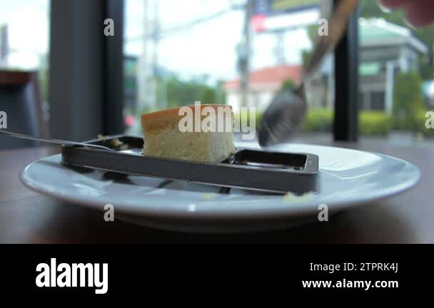 Full person with cake Stock Videos & Footage - HD and 4K Video Clips ...