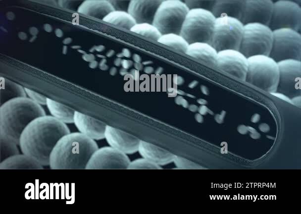 artery shown with a cut out section, High quality rendering with ...